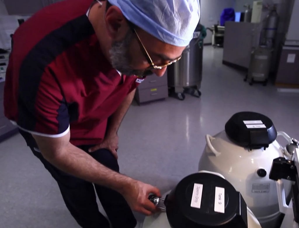 Egg, Embryos, and Sperm Freezing Storage - TRIO Fertility