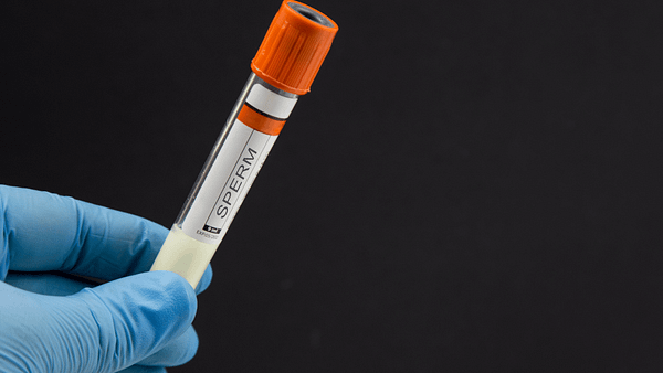 DNA Fragmentation Test: How Does It Work? I TRIO Fertility