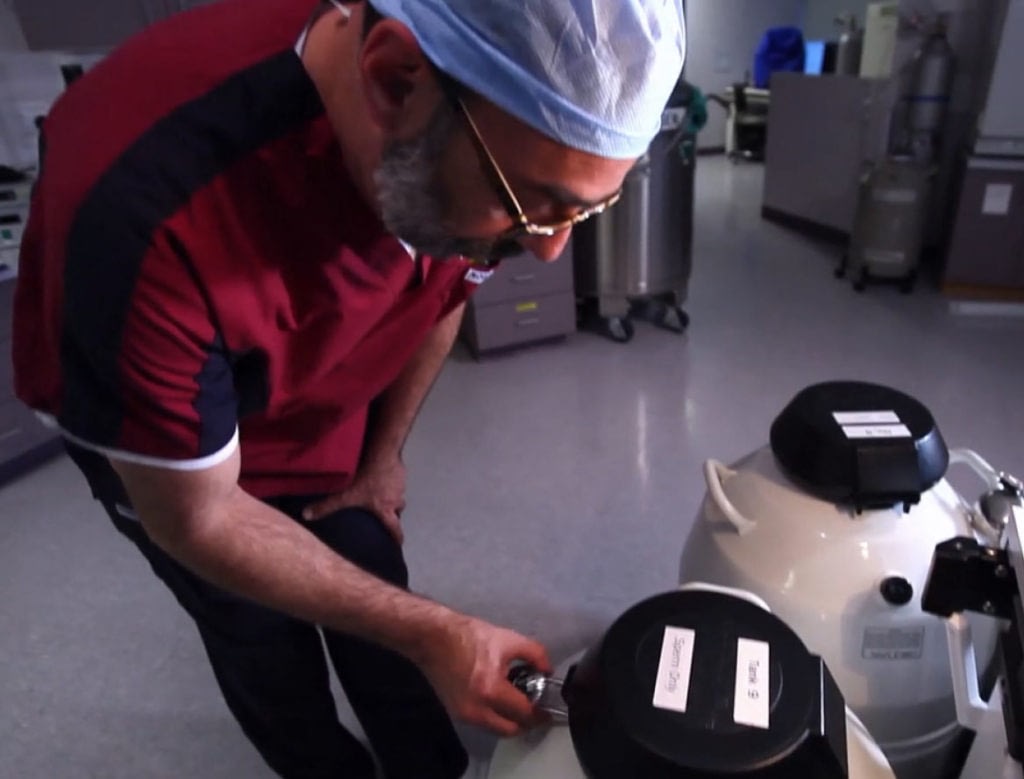 Egg, Embryos, and Sperm Freezing Storage - TRIO Fertility